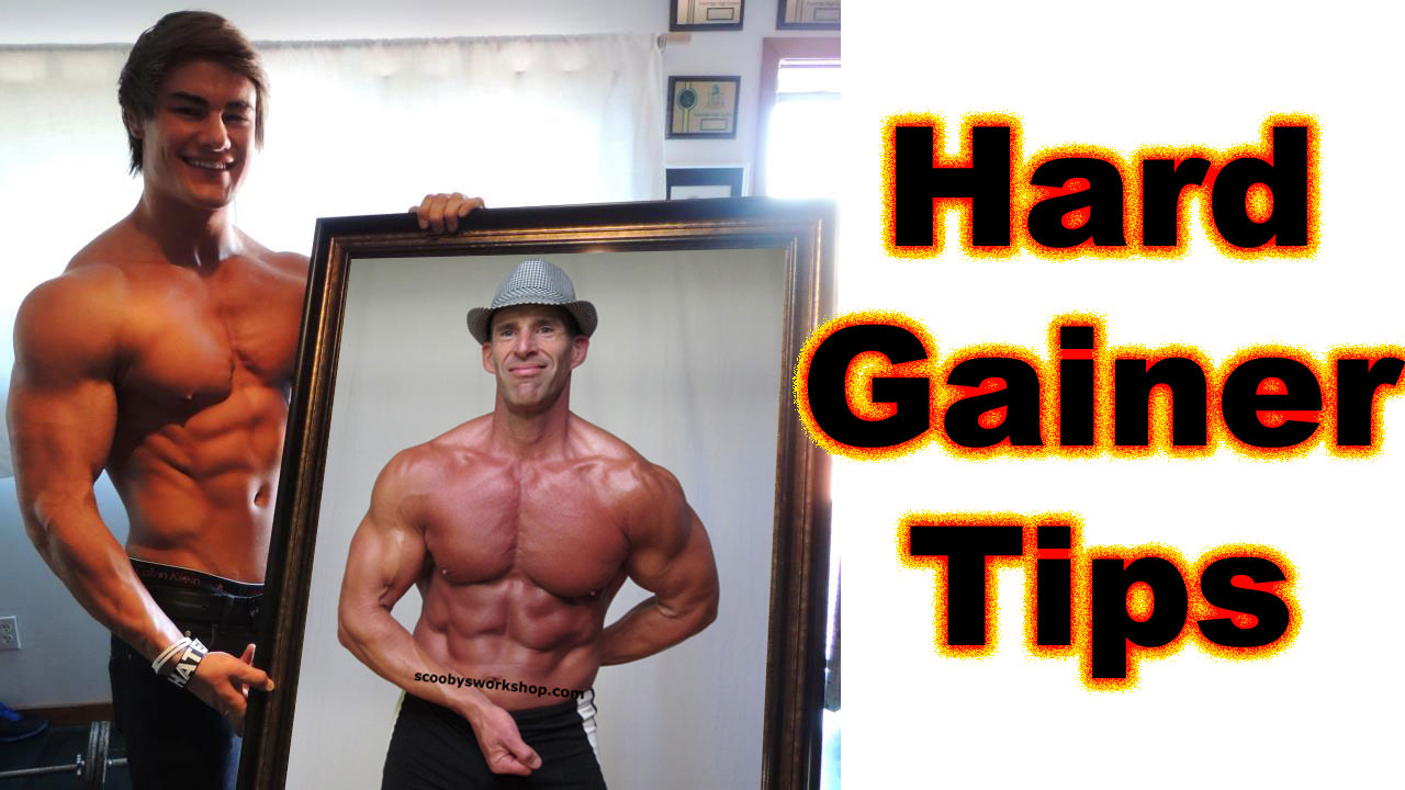 Scooby Workout Plan Generator | EOUA Blog